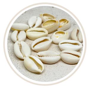 Muschel-Schmuck selber machen: Muscheln & Muschelkerne kaufen ...